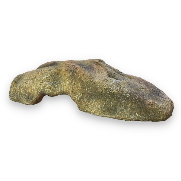 Reptile Decor | Hundreds To Choose From | Australia Wide Delivery