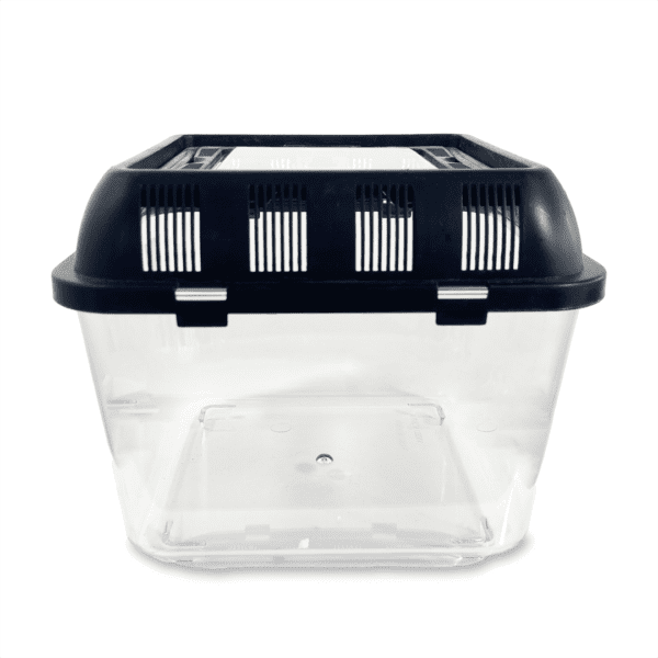 Juvenile Python Kit | Buy Online | Viper Reptile