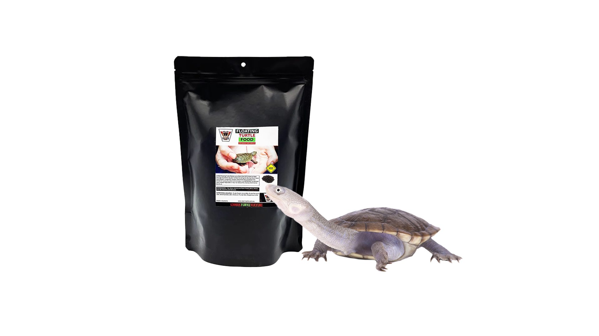 Turtle Freaks | You've Come To The Best Place