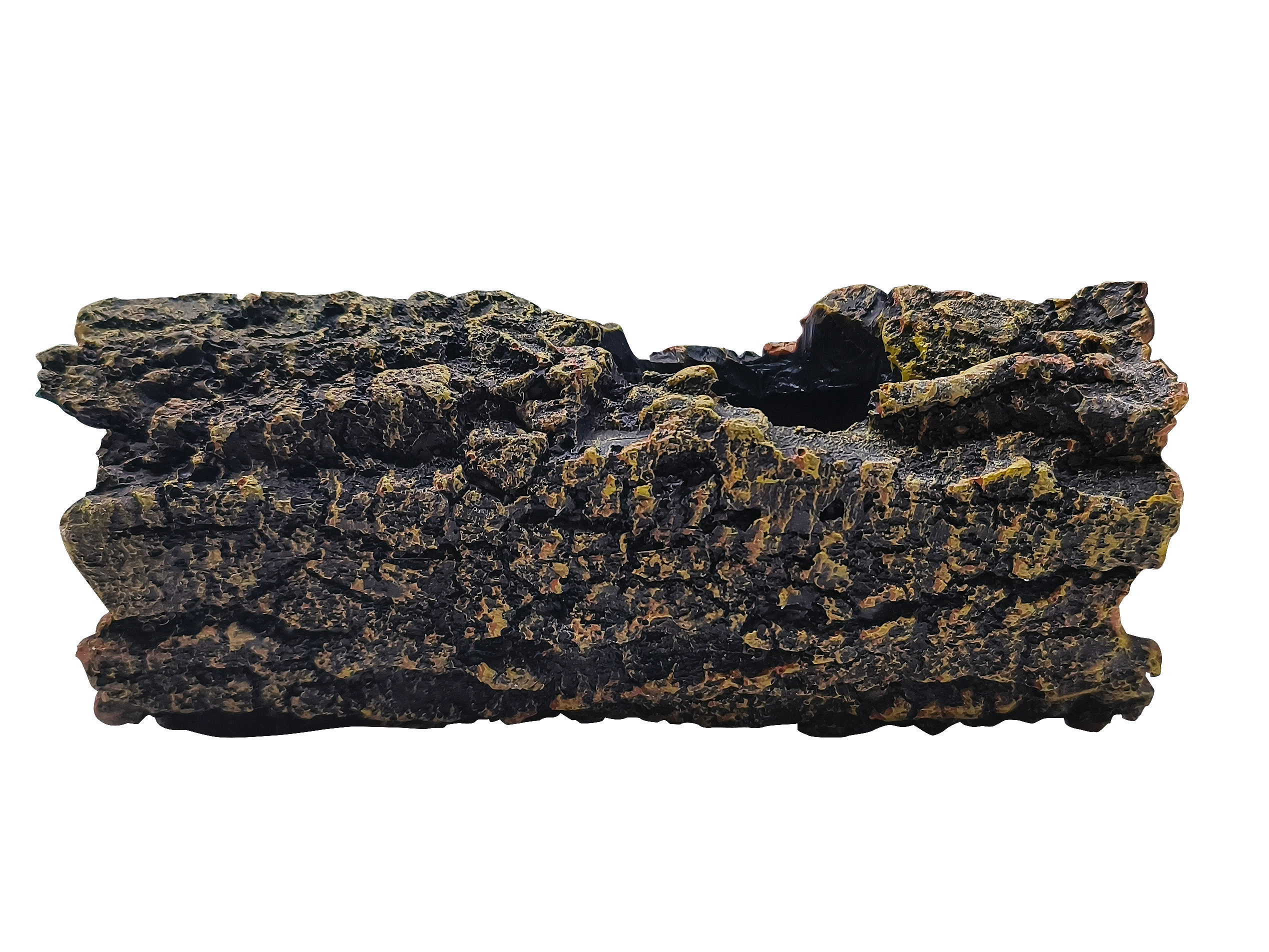 Home of Serious Reptile Culture | For All Reptile Freaks