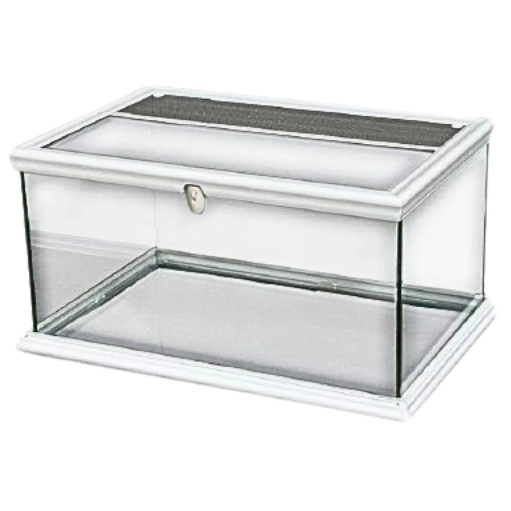 Small Reptile Terrarium Maxi | Spiders, Scorpions, Geckos