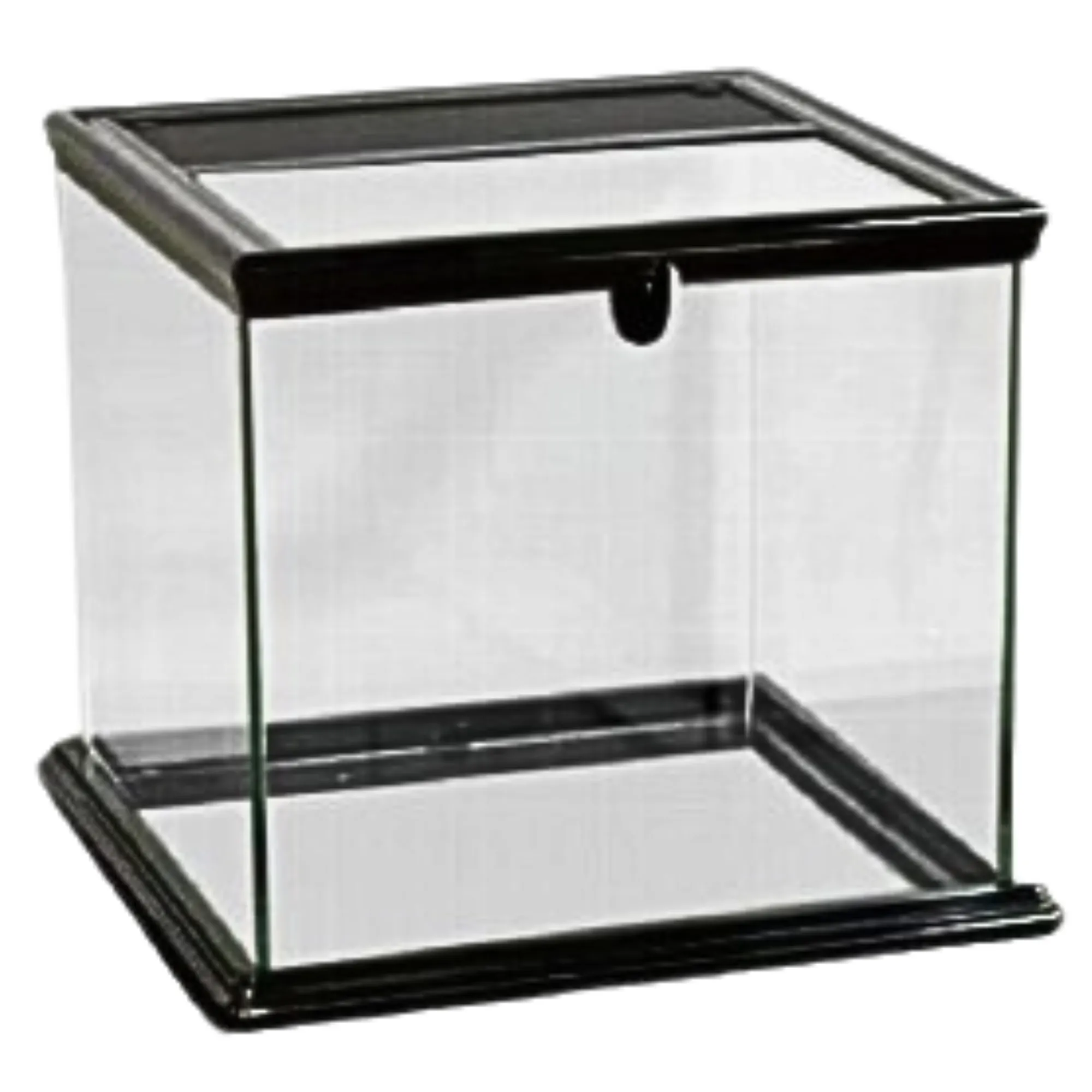 Reptile Glass Terrarium | Buy Online | Viper Reptile
